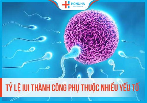 Tổng hợp những chia sẻ kinh nghiệm đi bơm tinh trùng IUI thành công