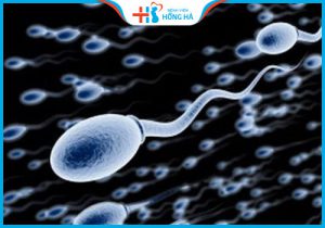 Bơm tinh trùng (IUI) là gì? 6 bước CHUẨN trong quy trình bơm IUI